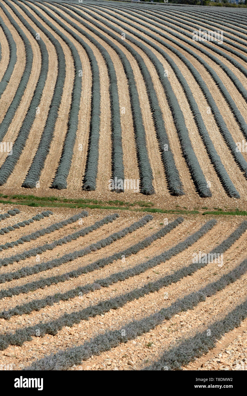 Abstract scenery hi-res stock photography and images - Alamy