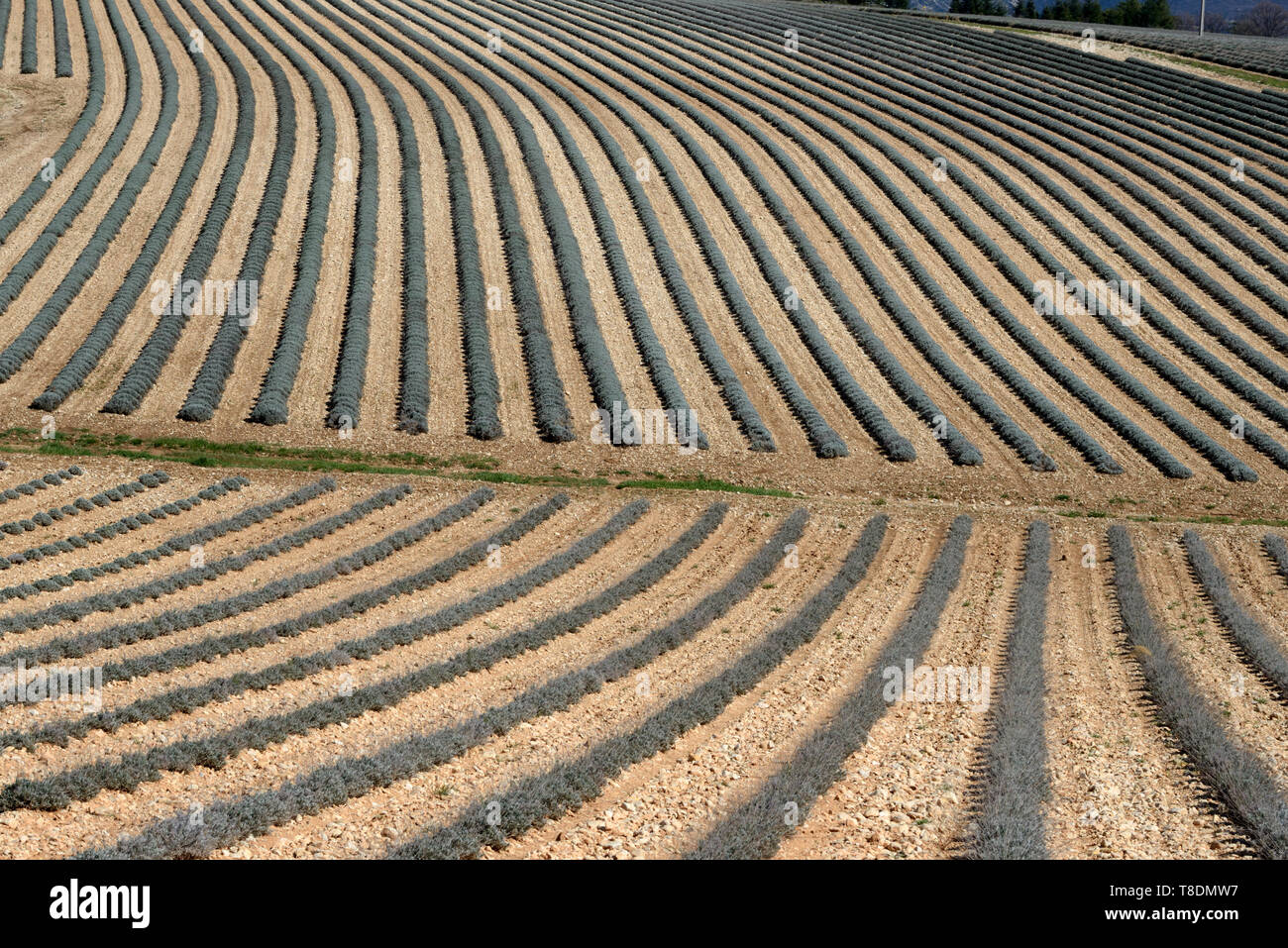 Patterns in landscape hi-res stock photography and images - Alamy