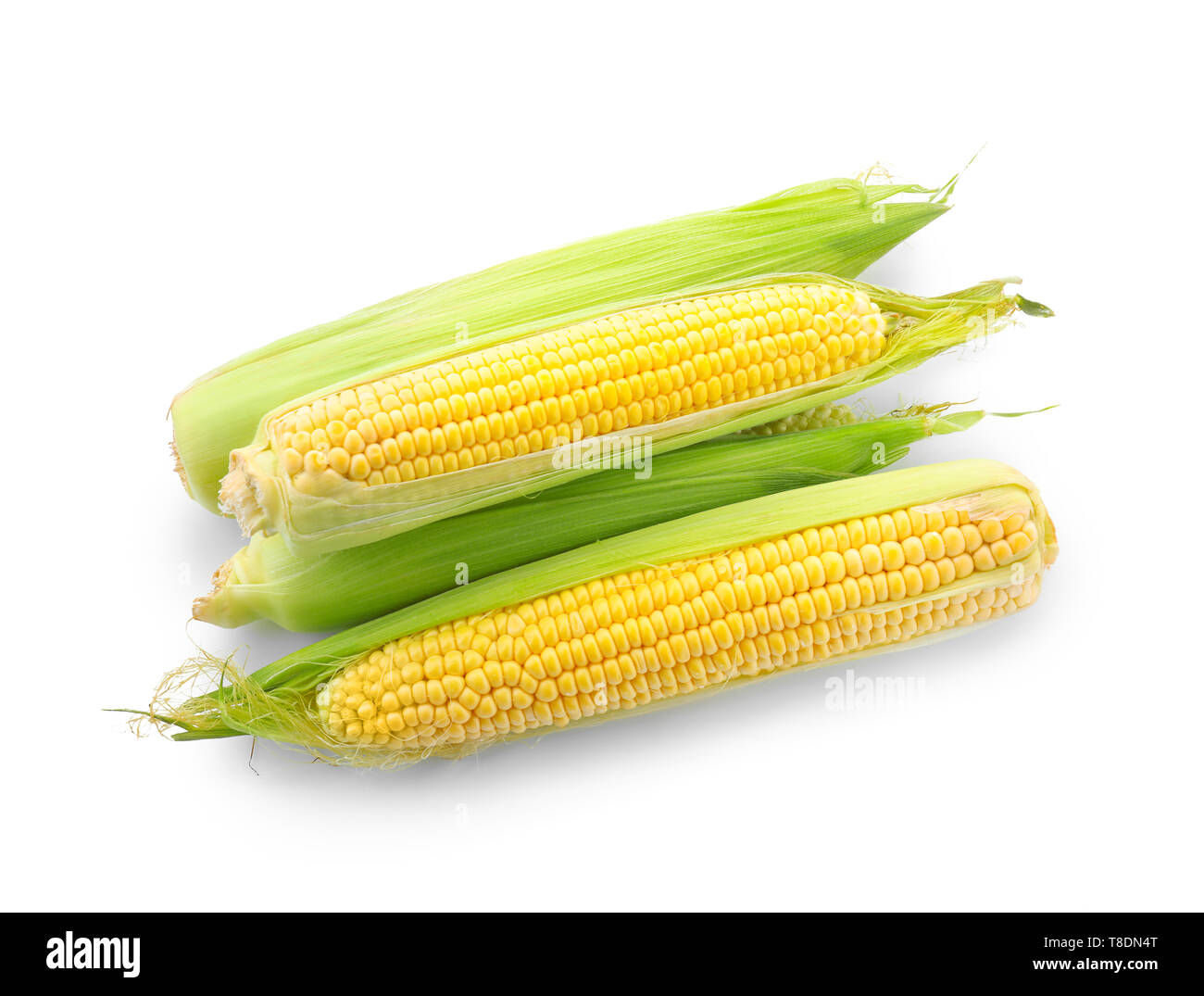 Sweetcorn cobs harvest Cut Out Stock Images & Pictures - Alamy