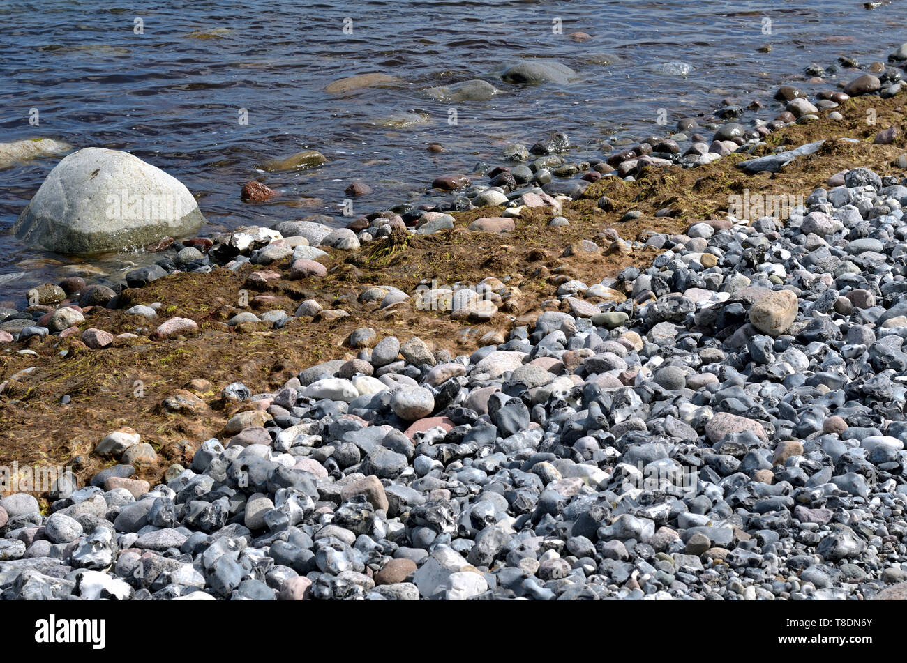 Coast of the island of Rügen Cape Arkona Stock Photo - Alamy