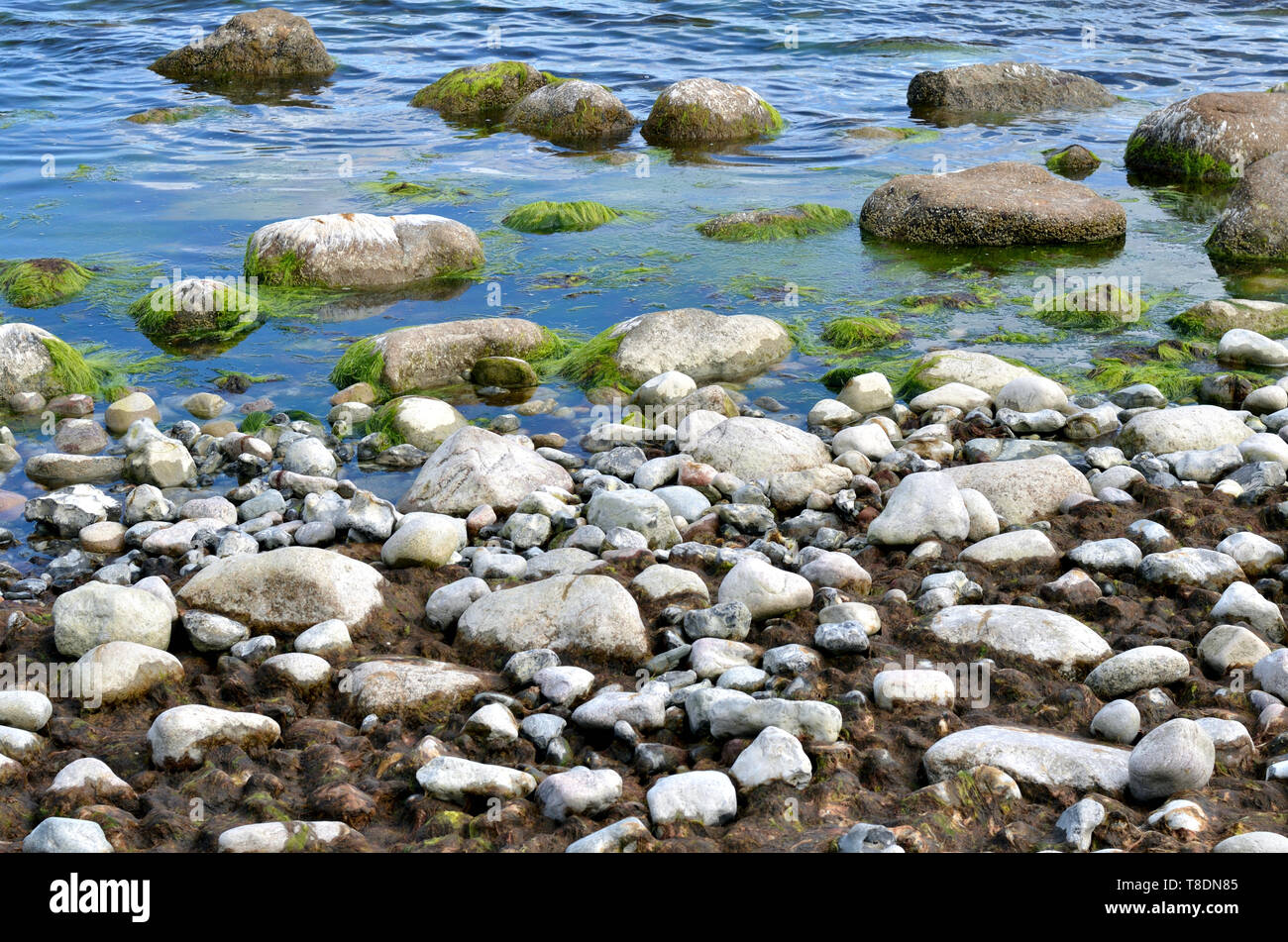 Coast of the island of Rügen Cape Arkona Stock Photo - Alamy