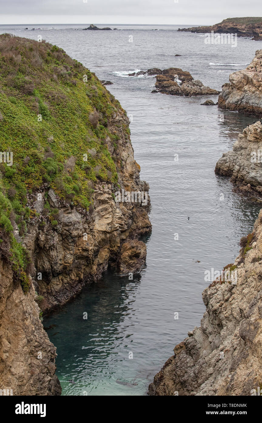 Point lobos state reserve walking hi-res stock photography and images ...
