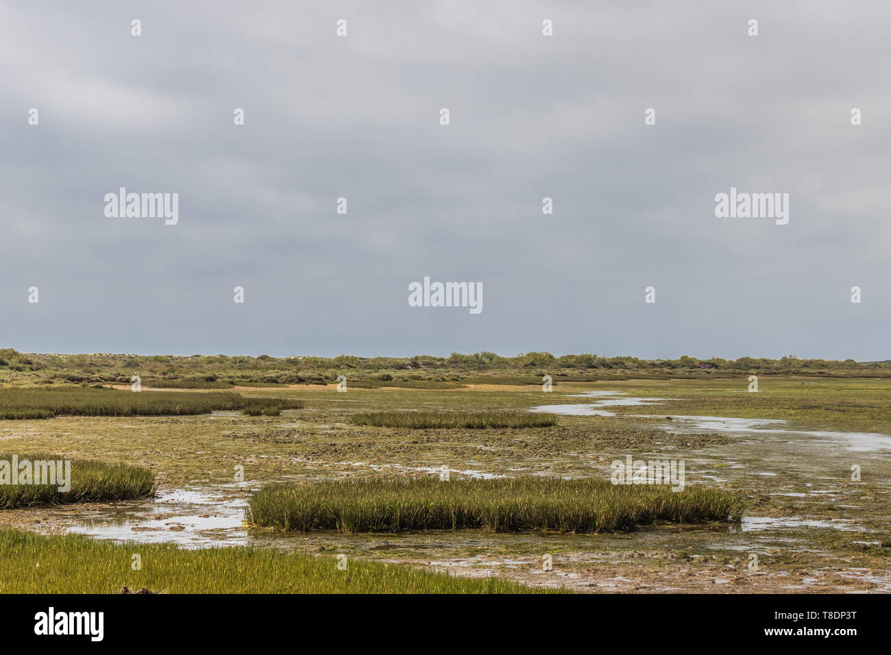 Mangrove landscape hi-res stock photography and images - Alamy