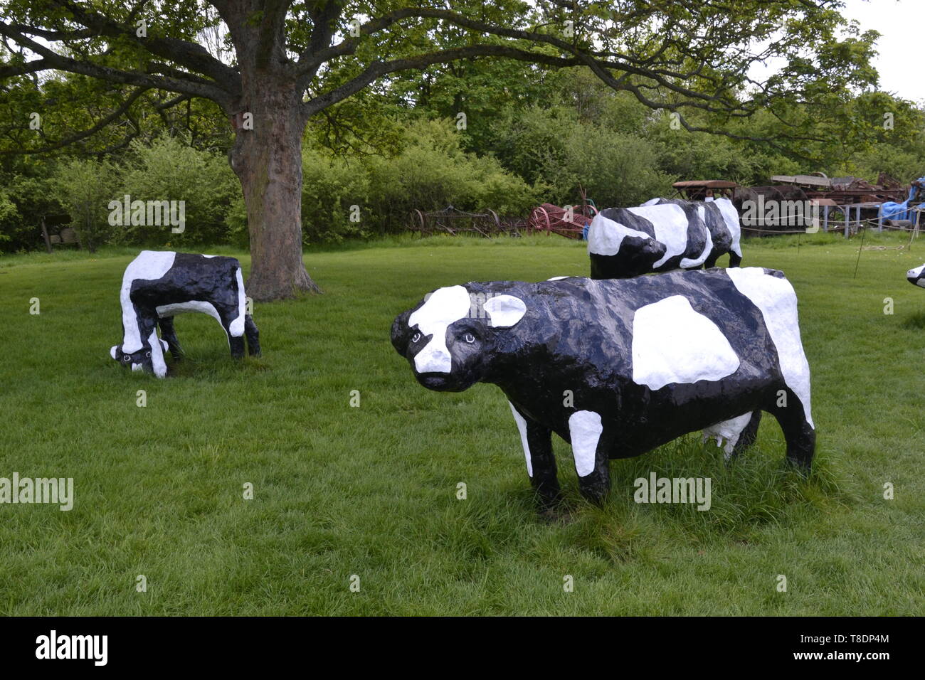 Cows sculpture hi-res stock photography and images - Alamy
