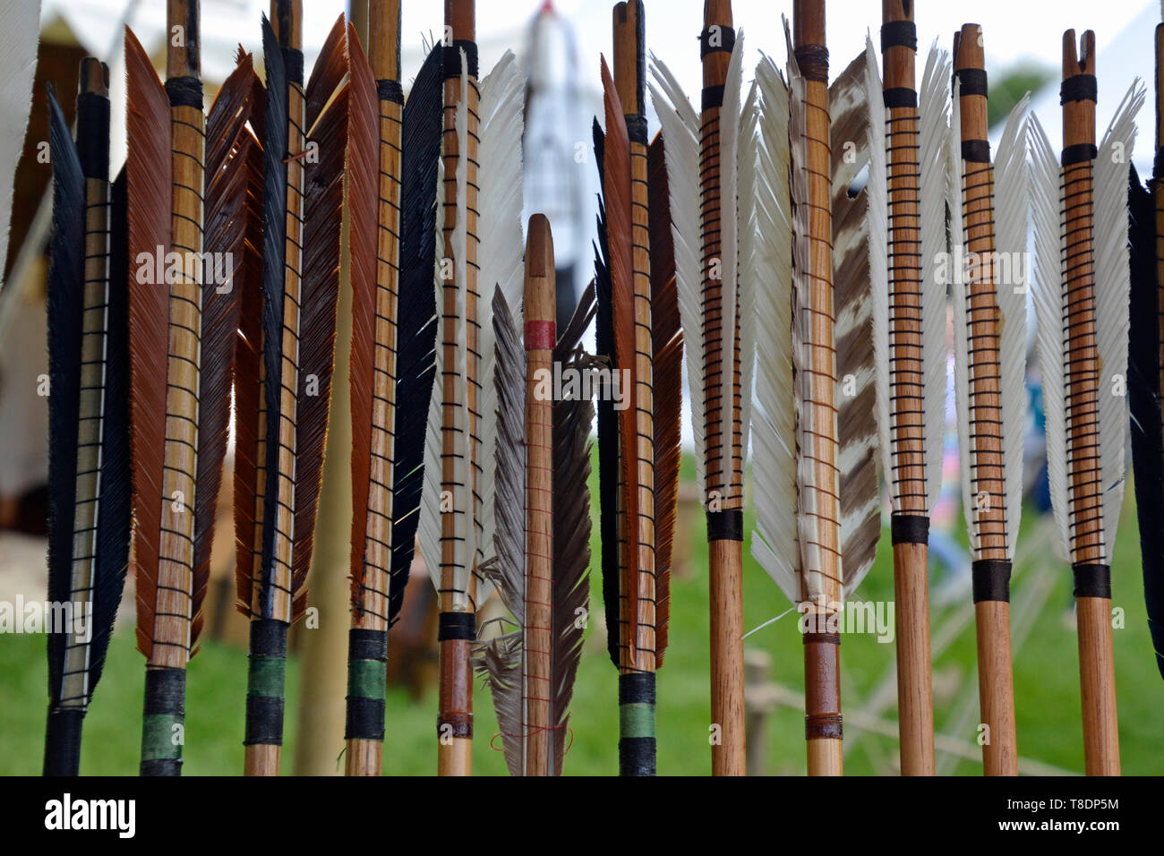 Hunting Arrow With Feathers
