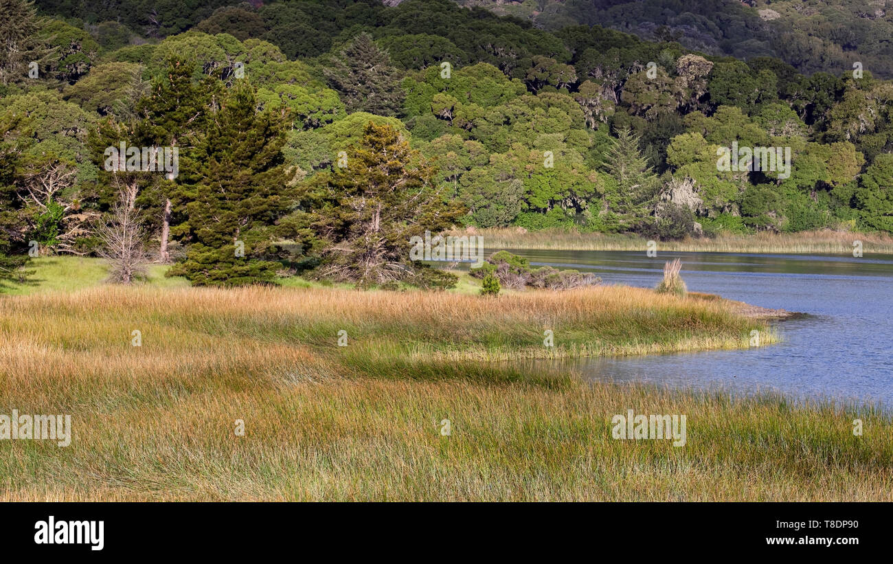 Crystal Springs Reservoir, San Mateo County Stock Photo - Alamy