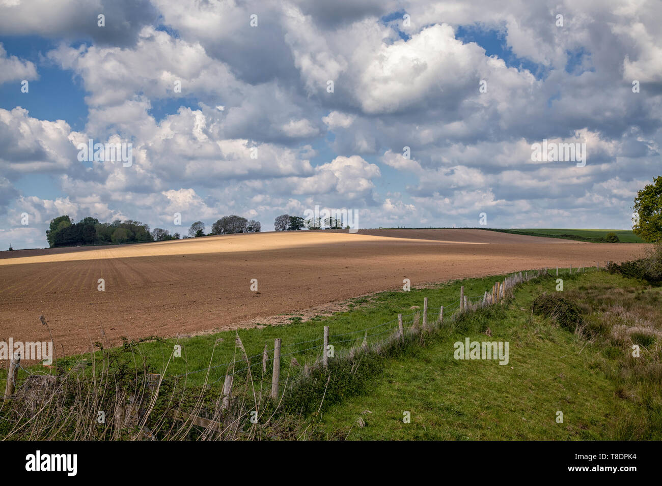 Farmland along the Downs Link path, West Sussex Stock Photo - Alamy