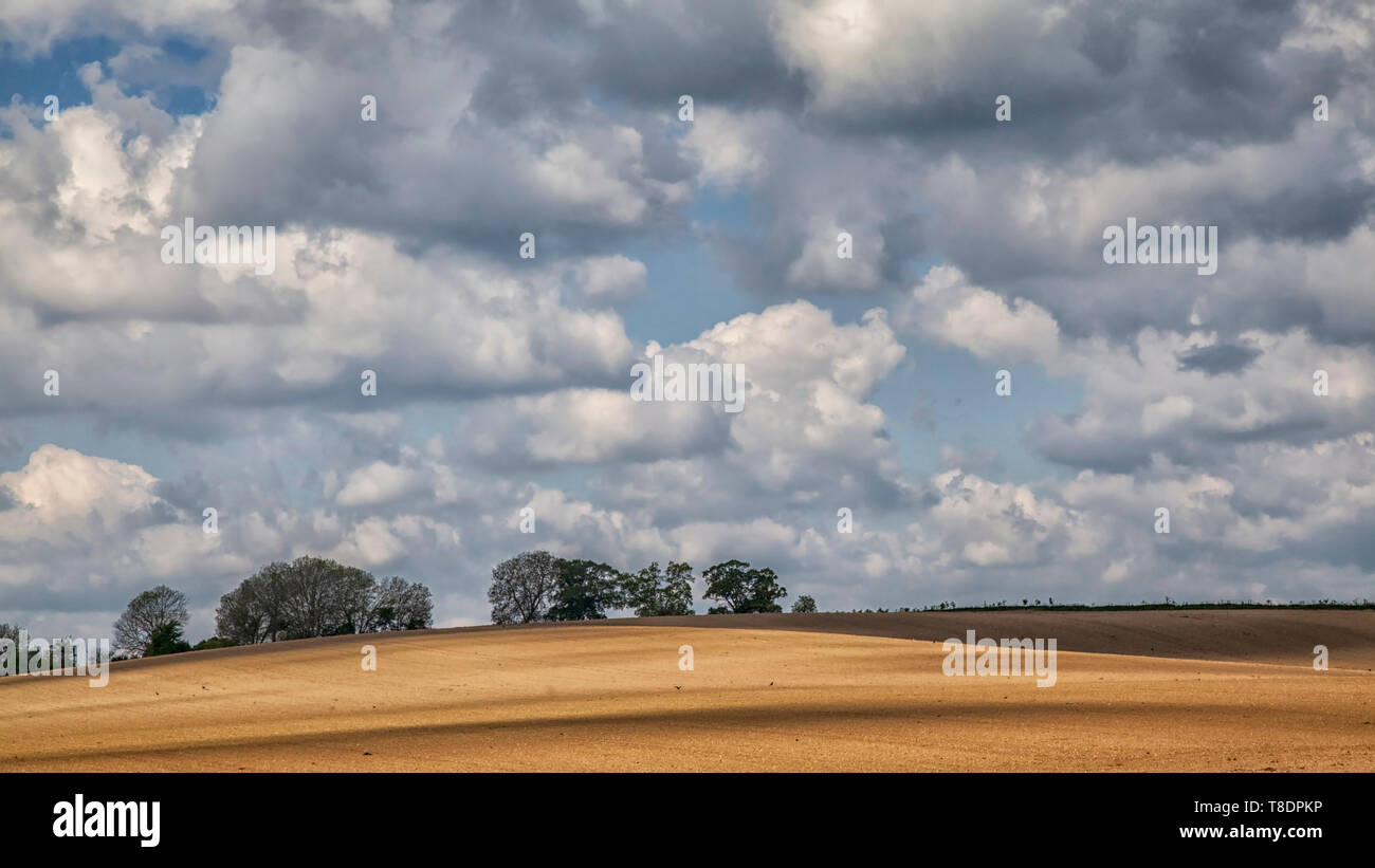Farmland along the Downs Link path, West Sussex Stock Photo - Alamy