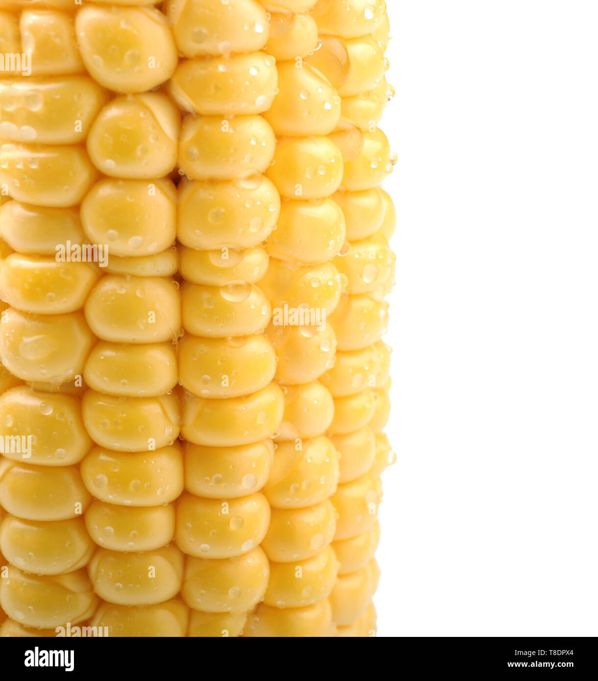 Fresh corn on cob water hi-res stock photography and images - Alamy