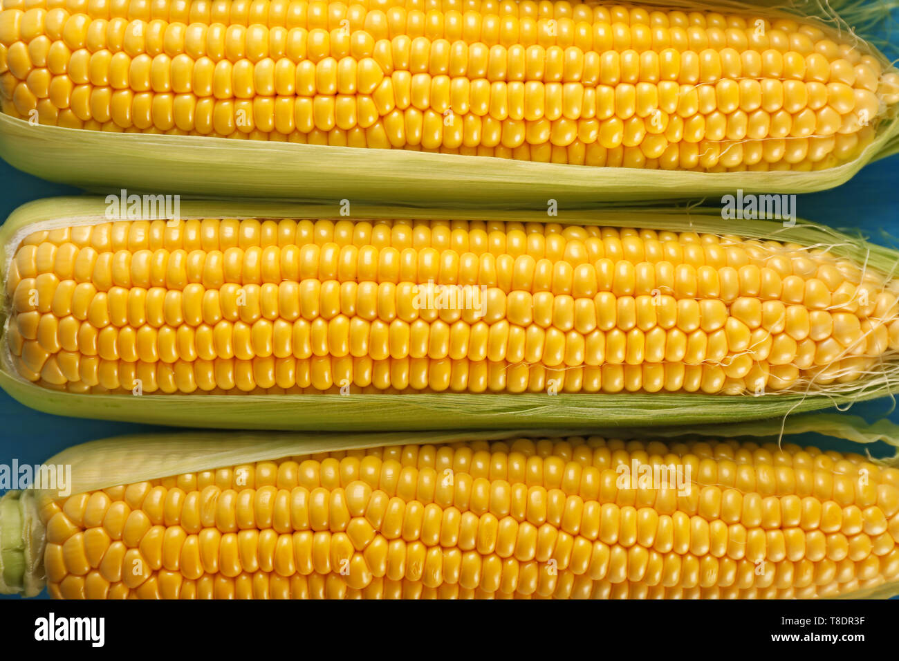 Fresh corn cobs, top view Stock Photo - Alamy