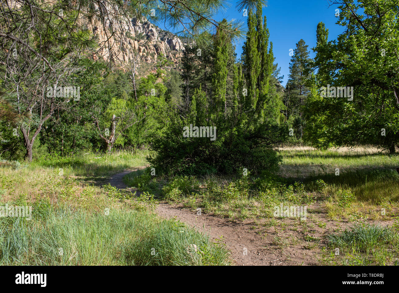 Oak Creek Canyon, Arizona, USA Stock Photo - Alamy