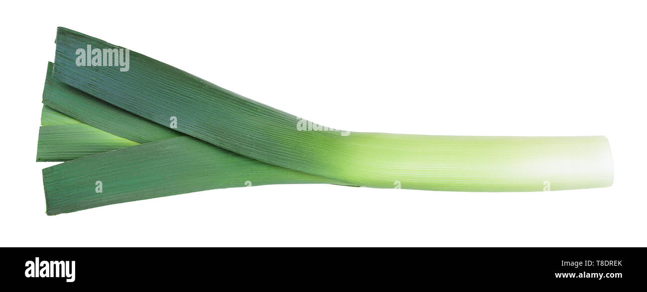 Leek vegetable closeup isolated on white background. Top view. Flat lay ...