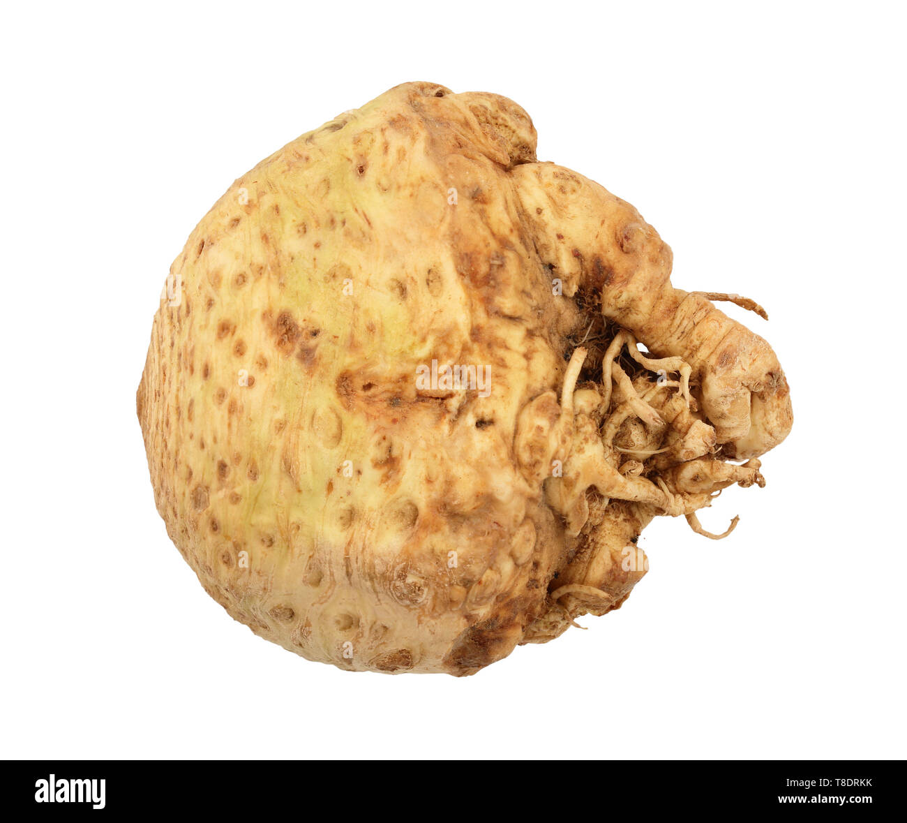 Fresh celery root isolated on white background Stock Photo - Alamy