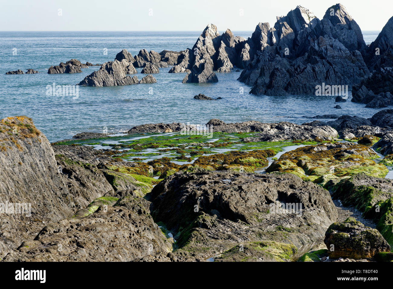 Bull point devon hi-res stock photography and images - Alamy