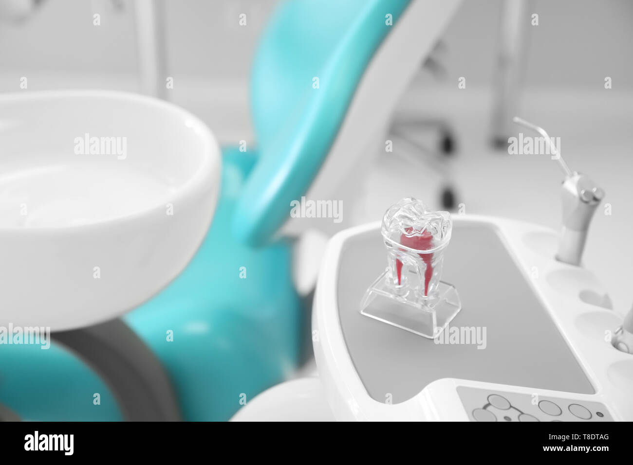 Model of plastic tooth on stand in dentist's office Stock Photo - Alamy