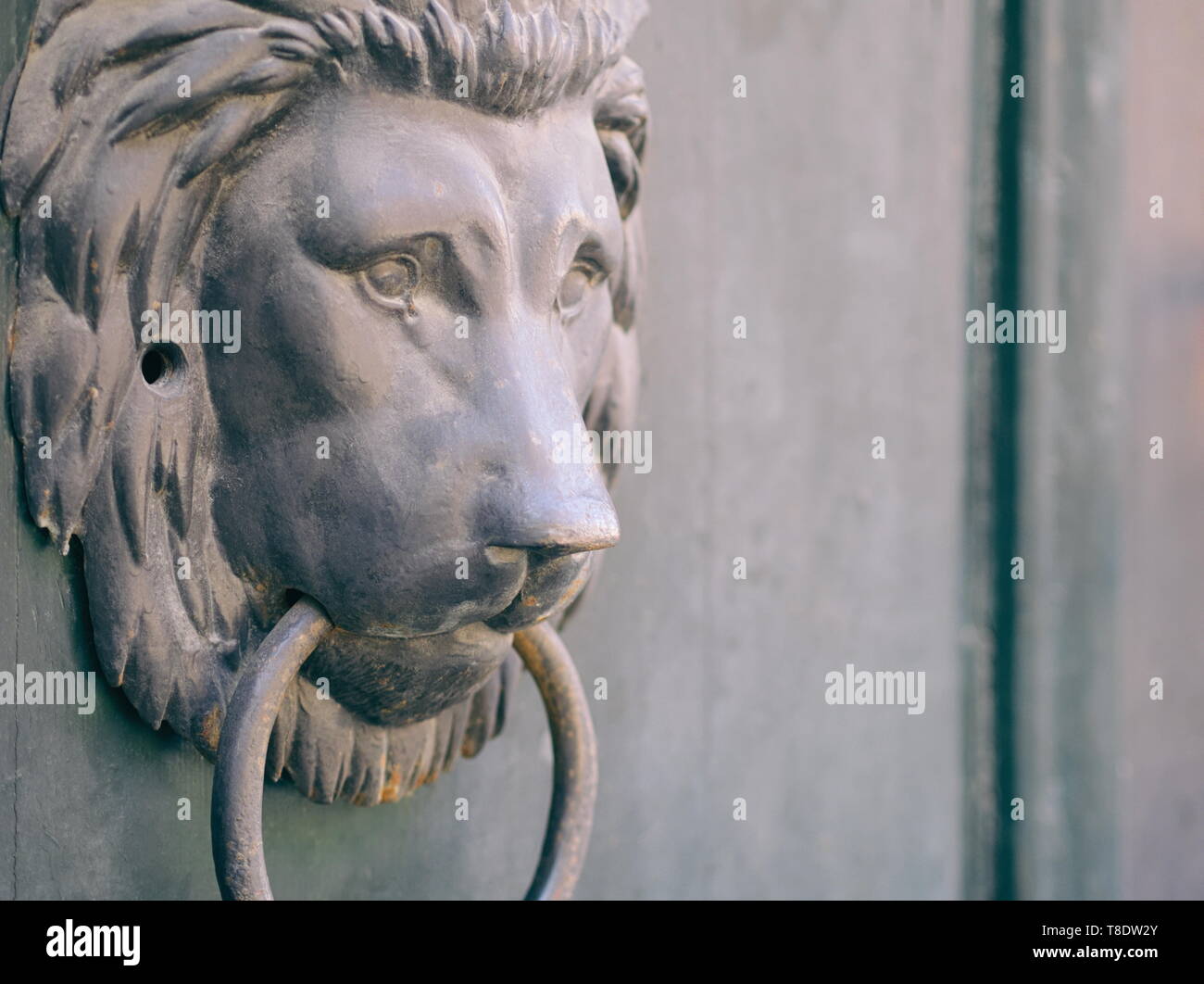 Bronze gate lion hi-res stock photography and images - Alamy