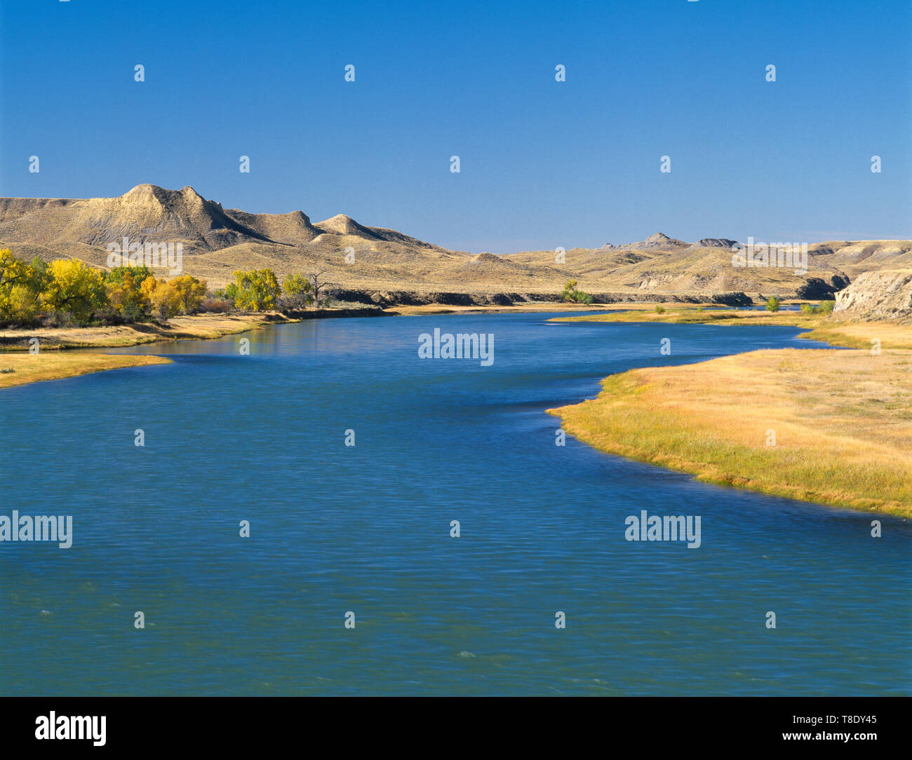 fall colors along the missouri river near fort benton, montana Stock ...