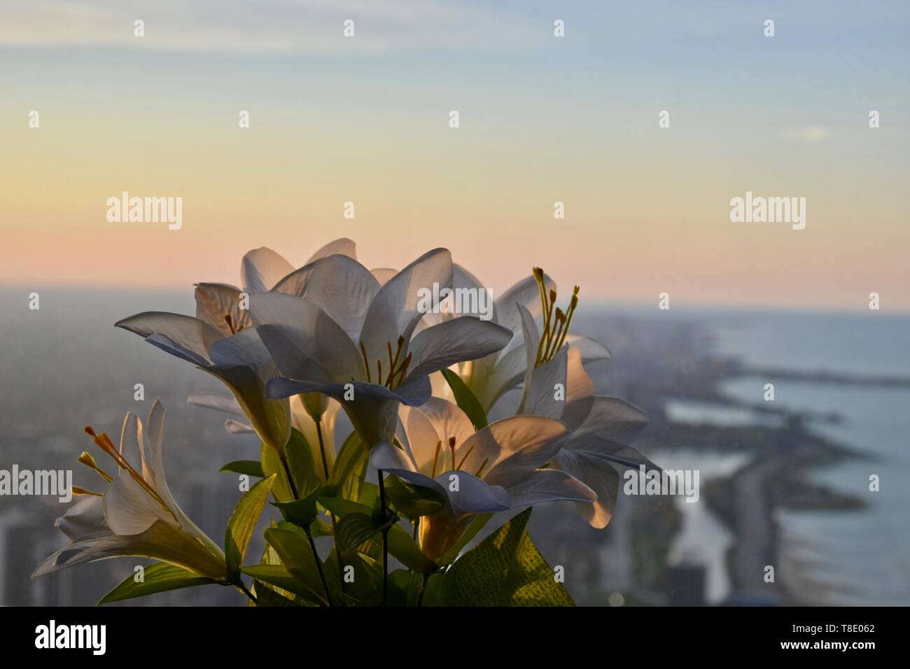 Iconic view of Chicago, Illinois, USA Stock Photo - Alamy