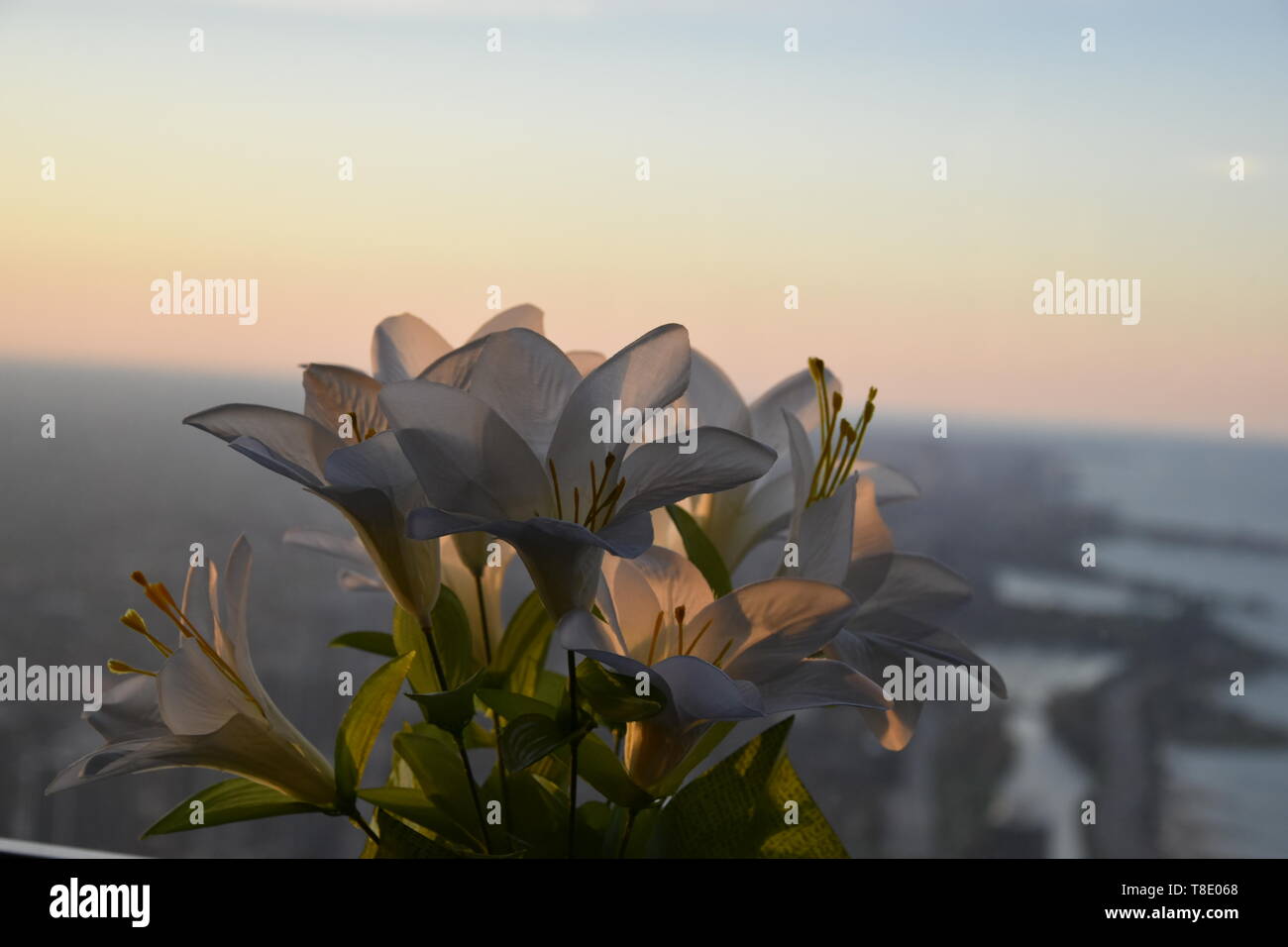 Iconic view of Chicago, Illinois, USA Stock Photo - Alamy