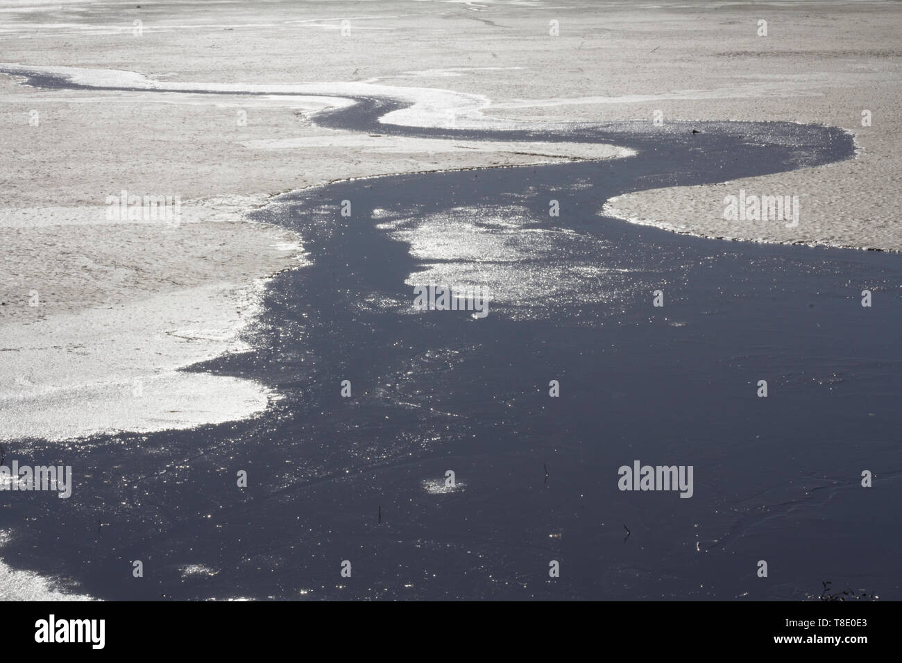 Swamp Yanchep National Park,Perth Western Australia,Australia Stock ...