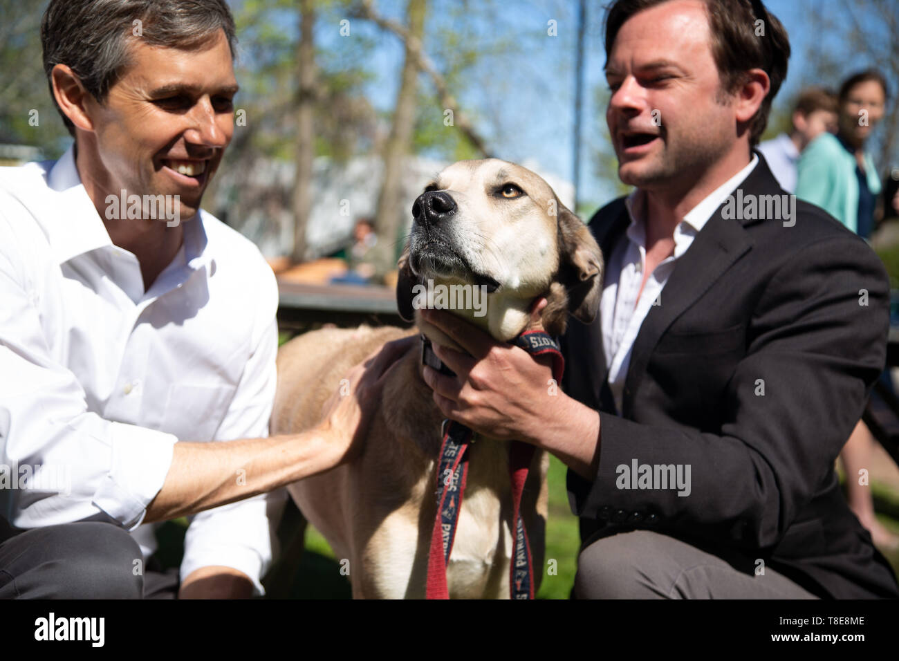 Beto o'rourke dog hi-res stock photography and images - Alamy