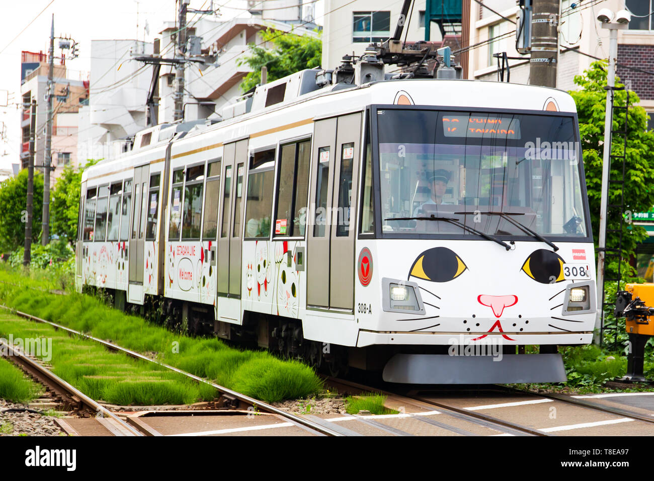 Tokyu Corp.'s new Manekineko (beckoning cat) tram, which commemorates ...