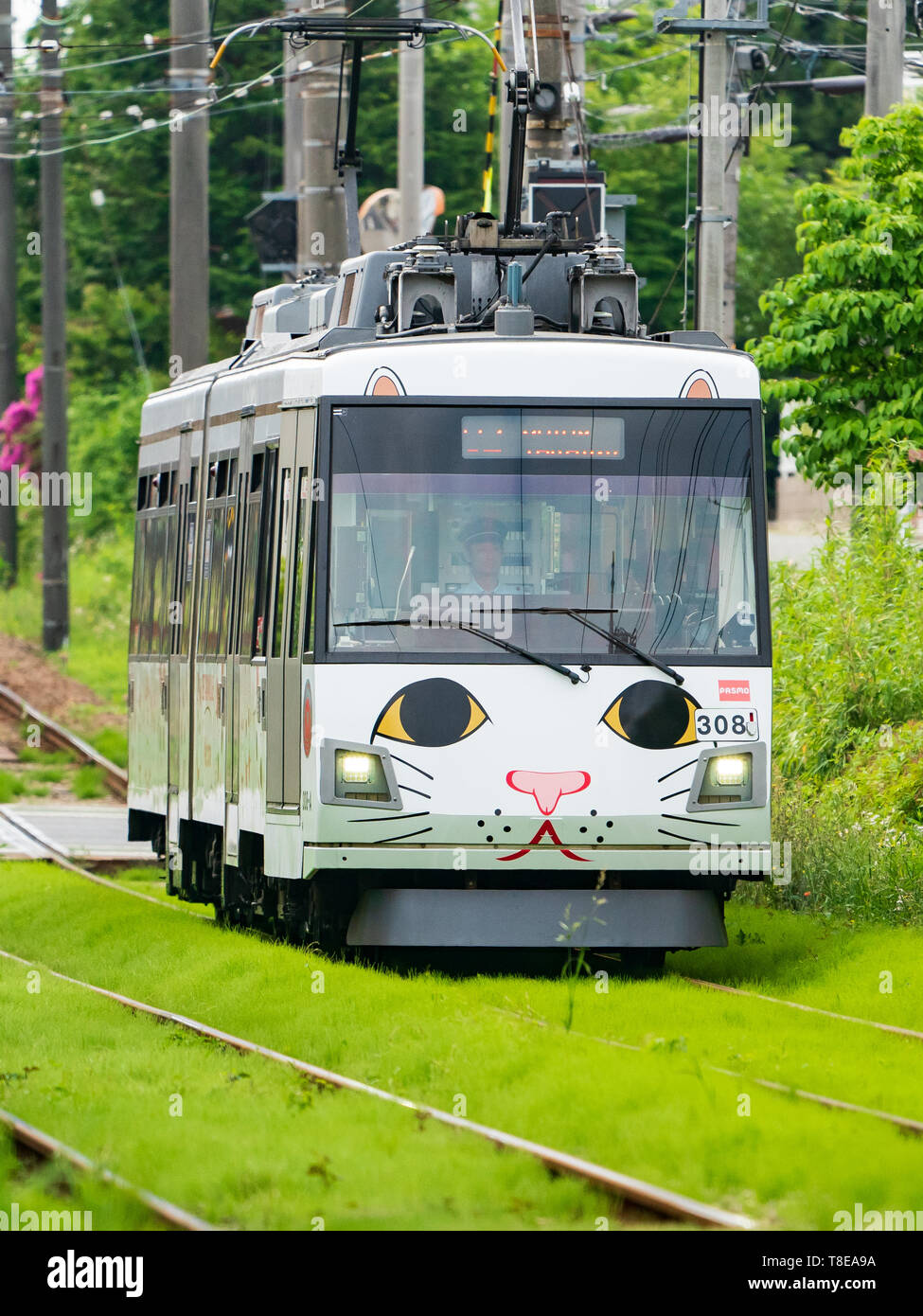 Tokyu Corp.'s new Manekineko (beckoning cat) tram, which commemorates ...