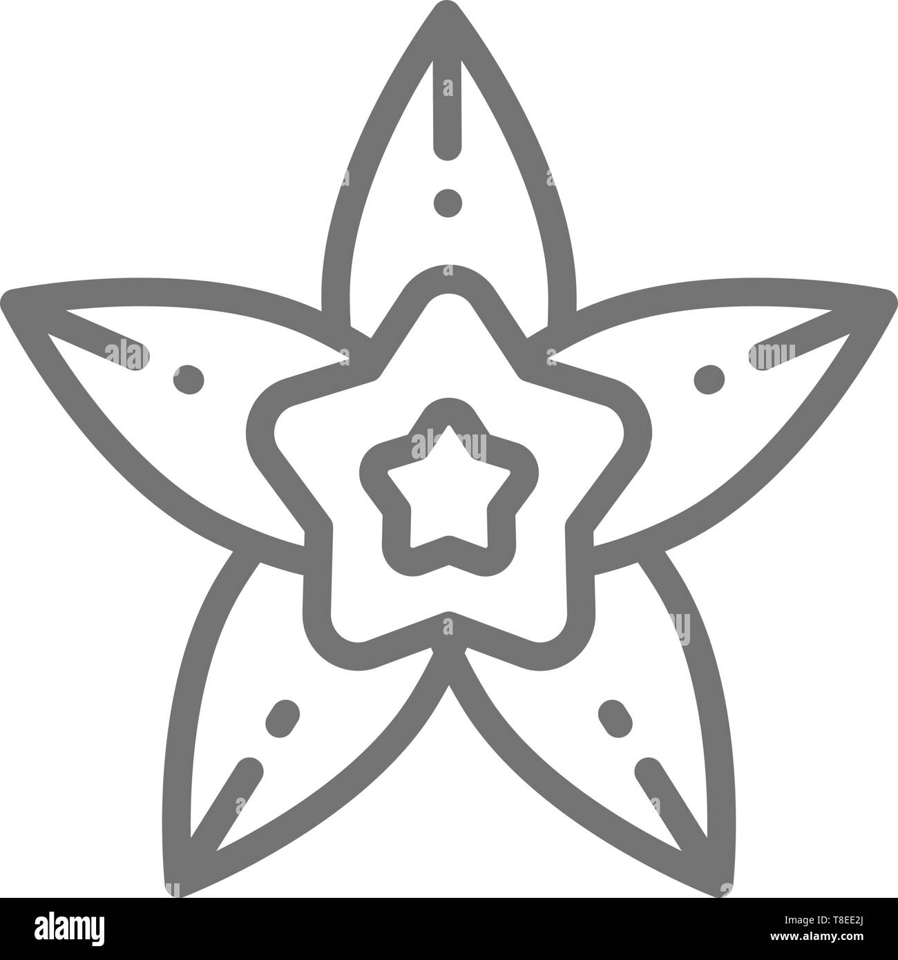 Star anise on white Black and White Stock Photos & Images - Alamy