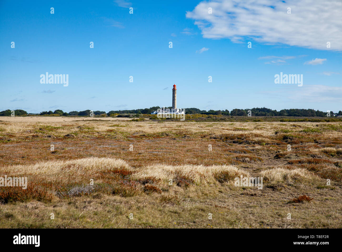 The Goulphar lighthouse of the famous Belle Ile en Mer island in France ...