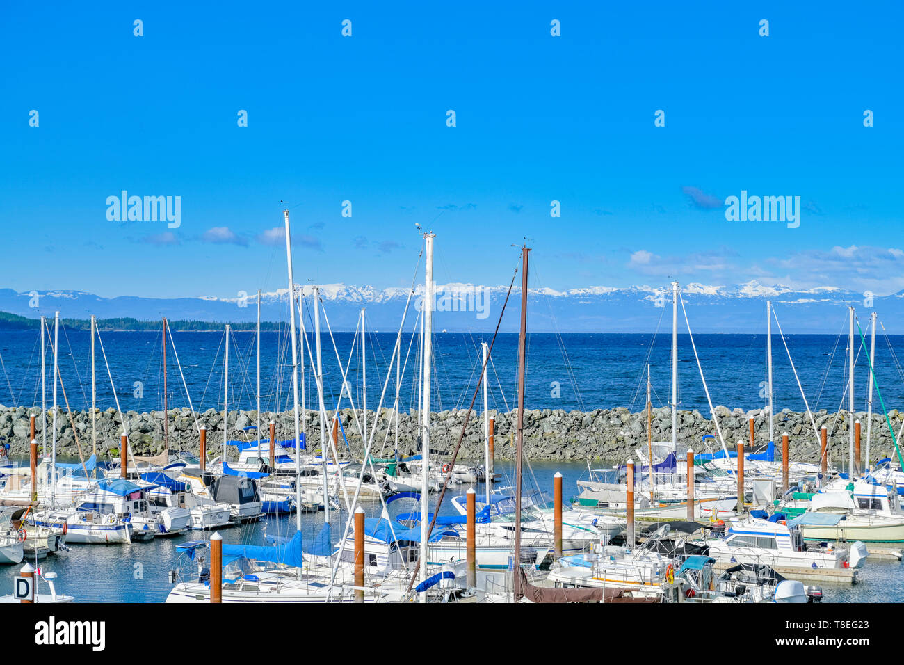 Powell river bc hi-res stock photography and images - Alamy