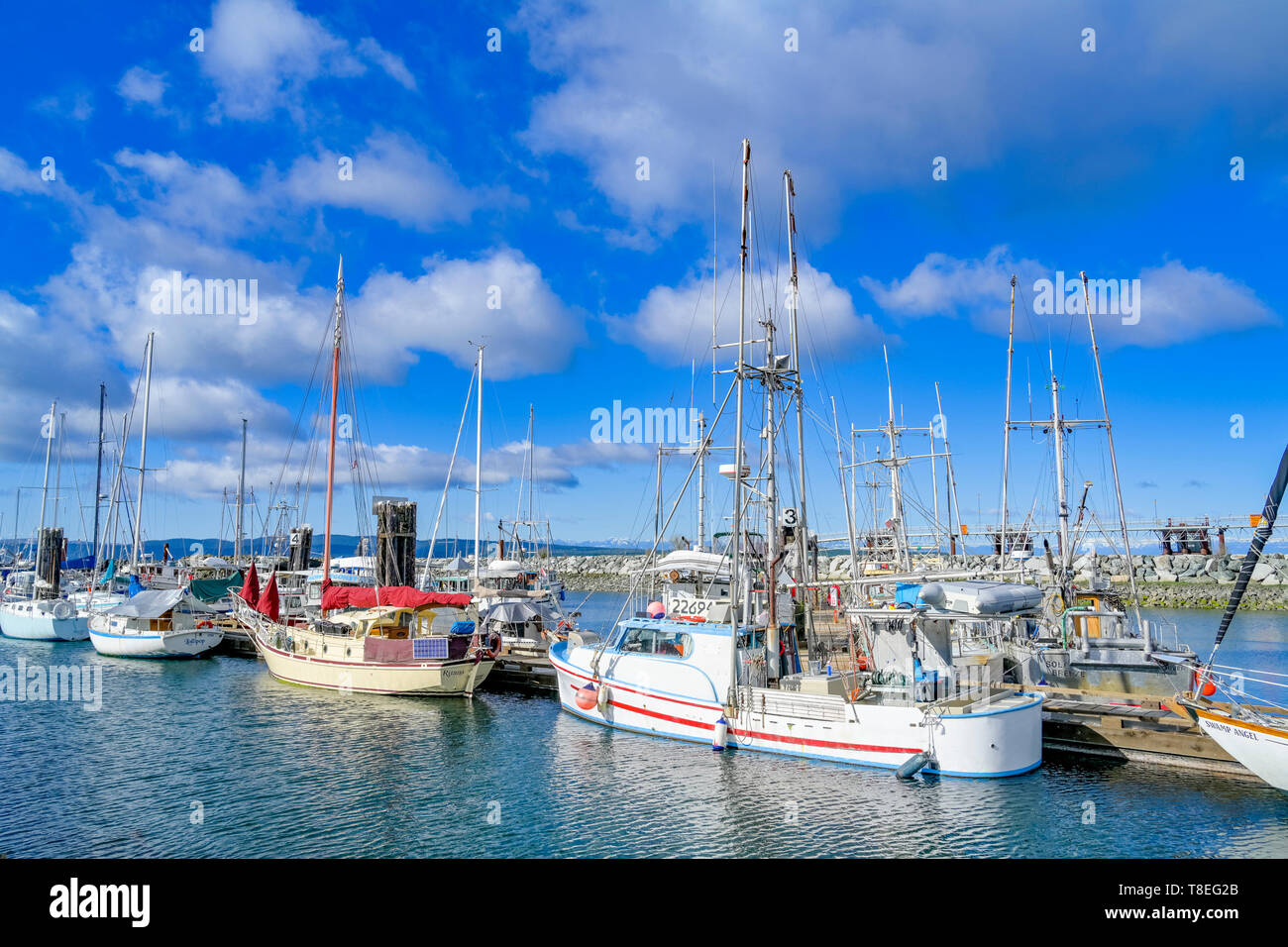 Powell river british columbia hi-res stock photography and images - Alamy