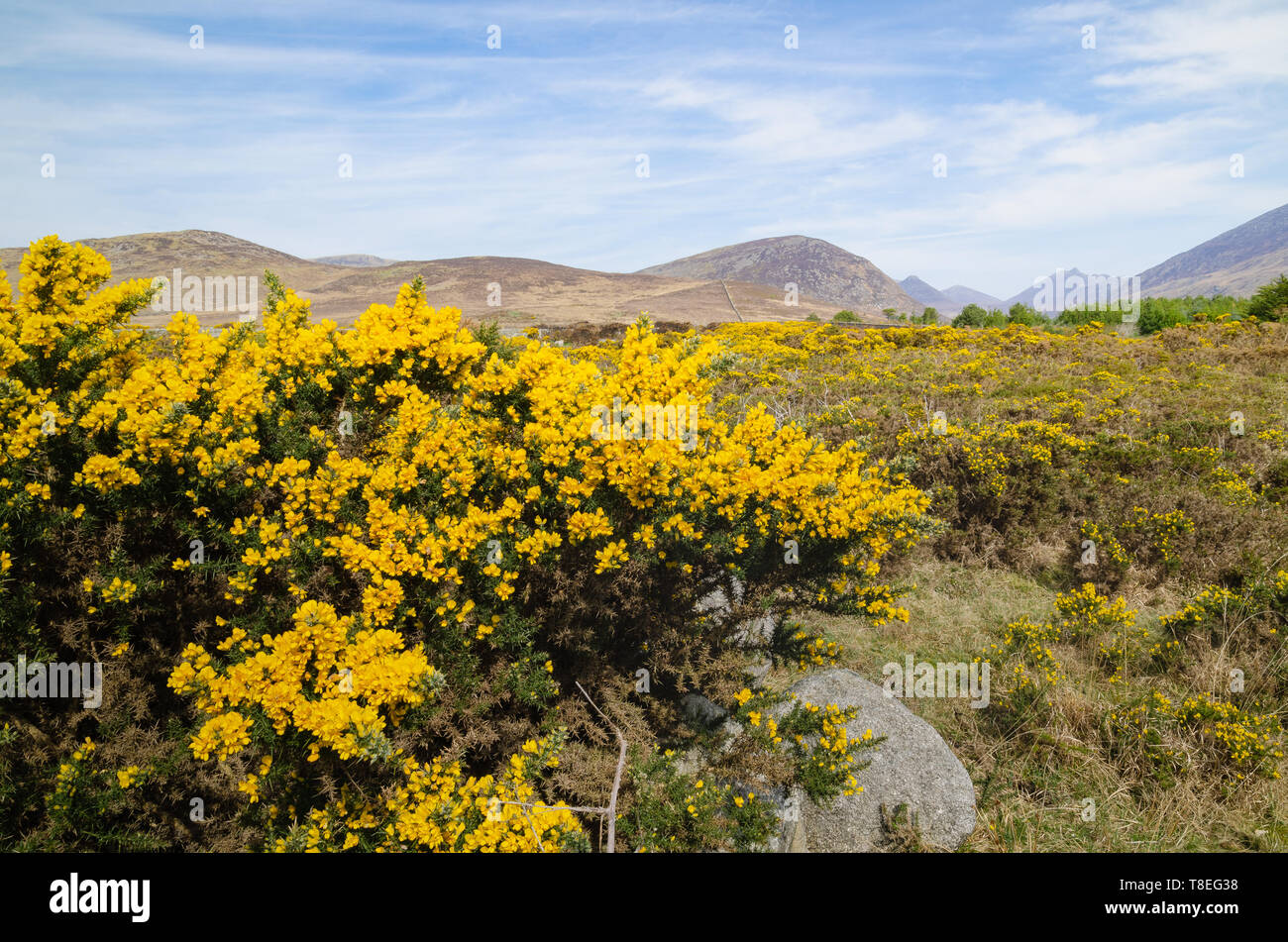 The mouirnes hi-res stock photography and images - Alamy