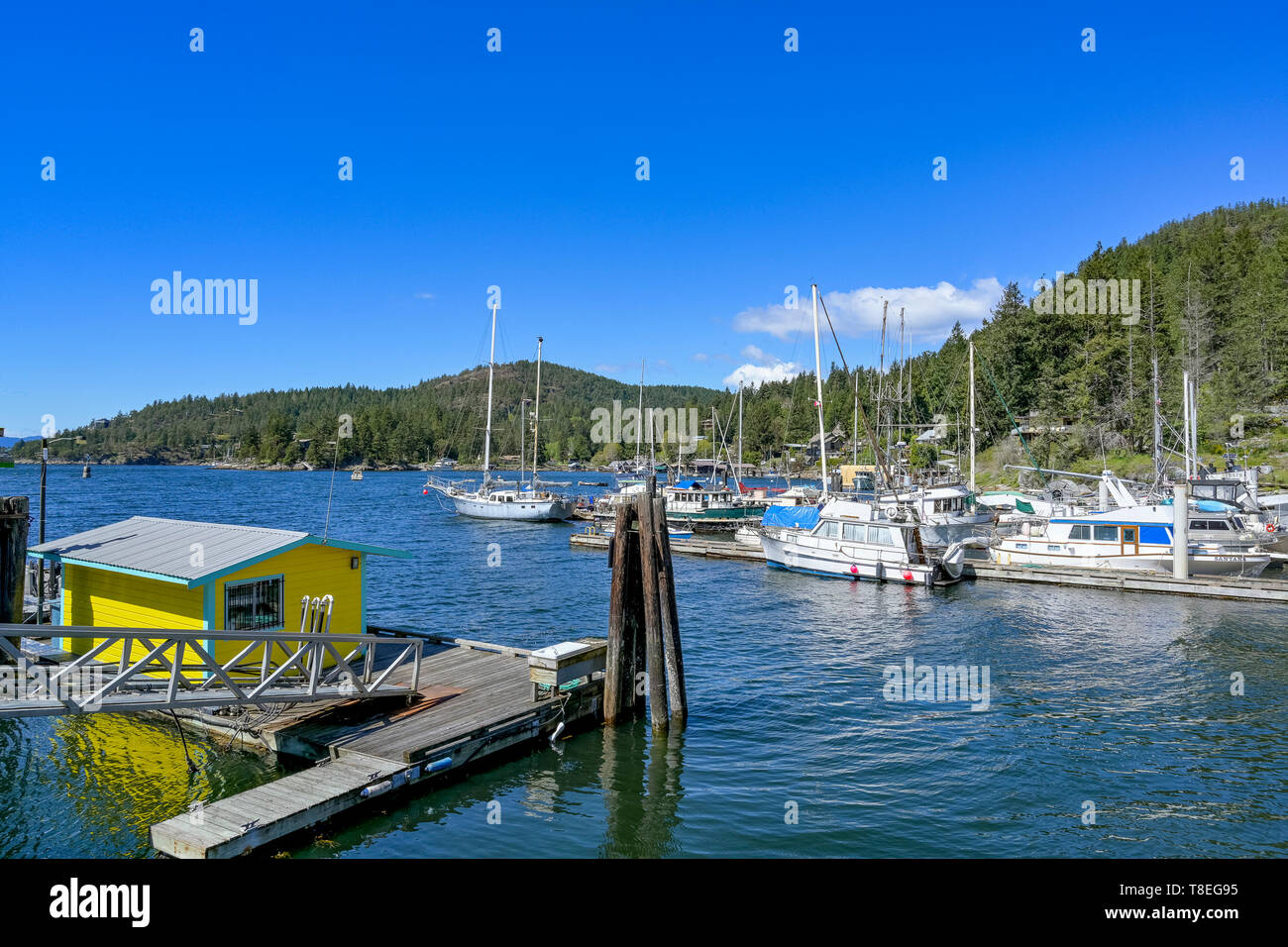 John pender hi-res stock photography and images - Alamy