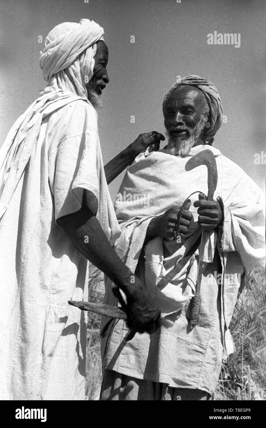 African tribesmen in Nigeria village Africa 1959 West Africa Stock ...