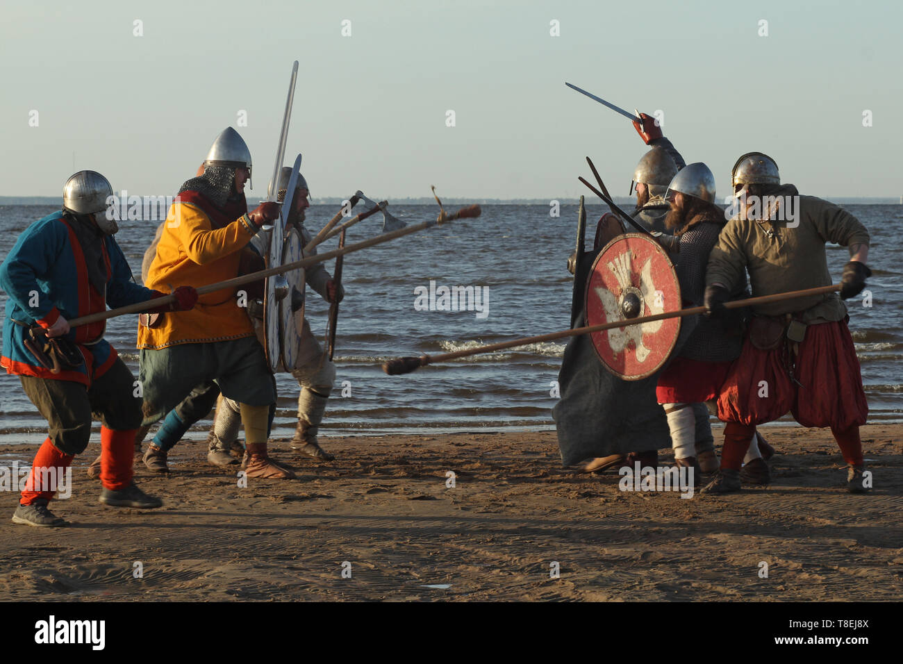 Slavic warriors reenactors with wearpons and shields training fighting ...