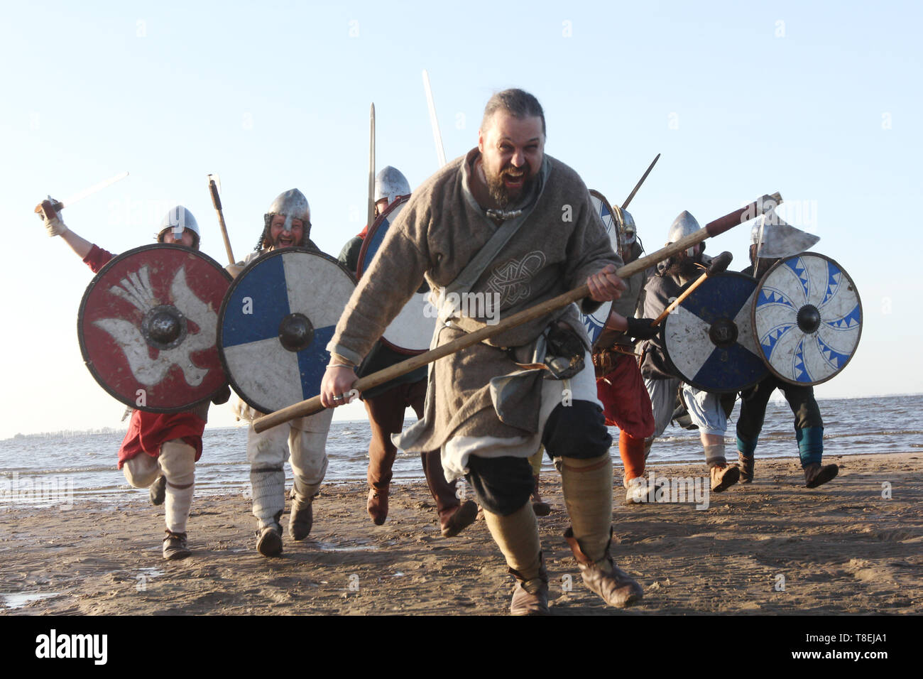 Slavic warriors reenactors with wearpons and shields training fighting ...