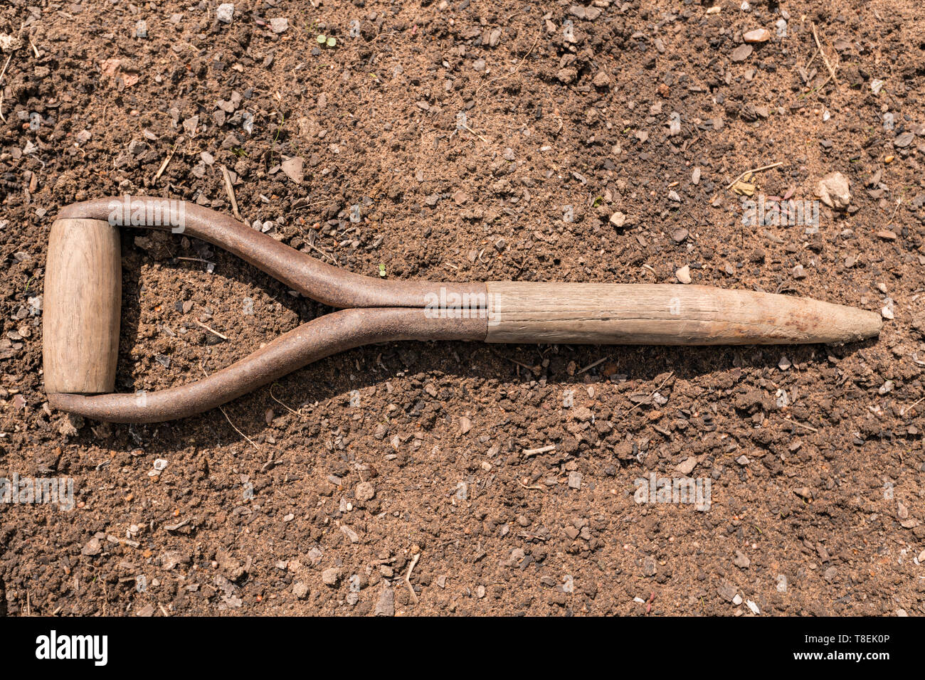 Seeds dibber hi-res stock photography and images - Alamy