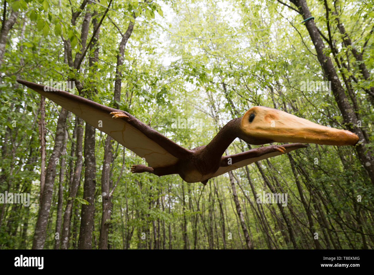 Dinosaurierpark High Resolution Stock Photography and Images - Alamy