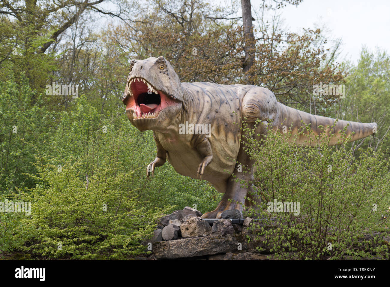 Dino park germany hi-res stock photography and images - Alamy
