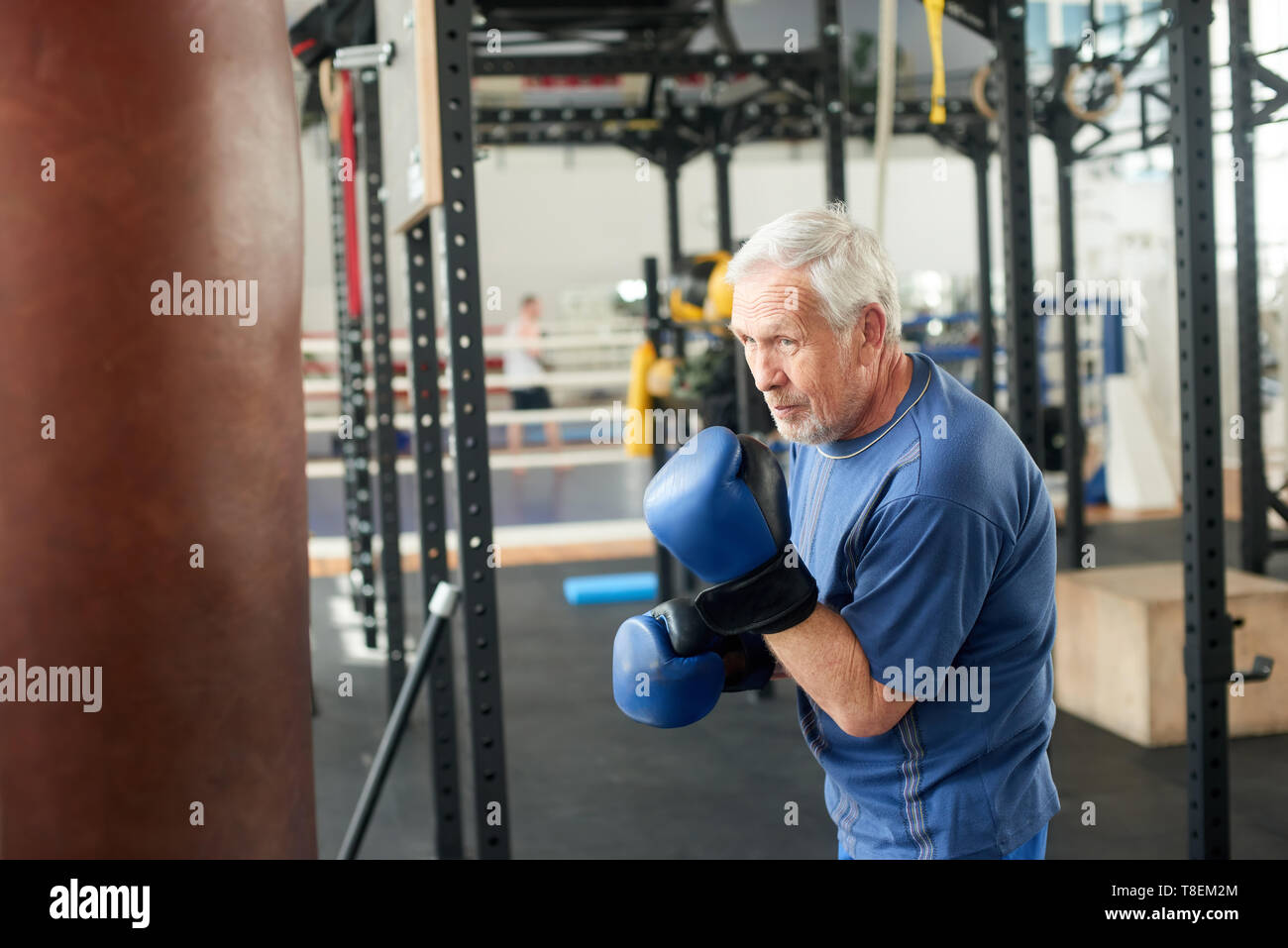 Senior male boxer ready to fight. Senior boxer in gloves boxing in gym ...