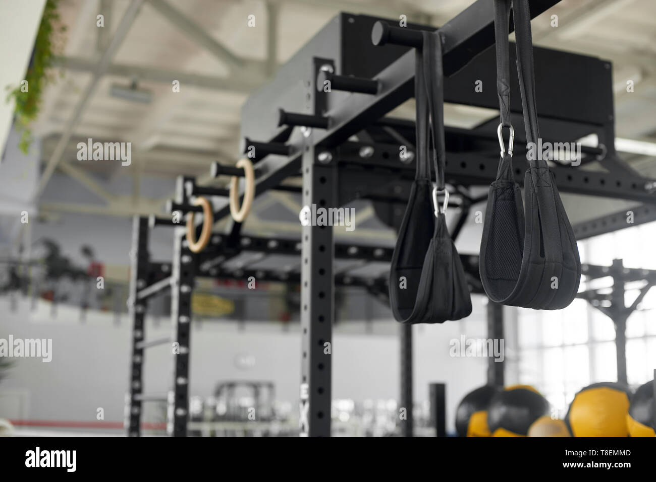 Sport accessories at gym. Pair of fitness abdominal straps at fitness ...