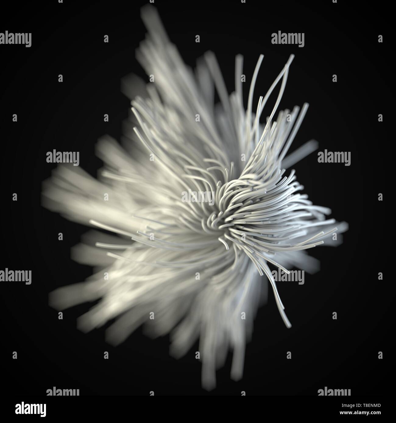 white strings growing and flowing on air. 3d illustration with black ...