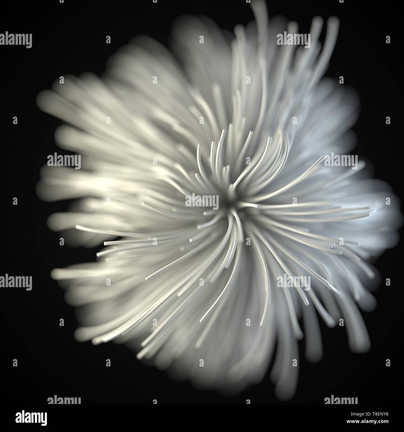 white strings growing and flowing on air. 3d illustration with black ...