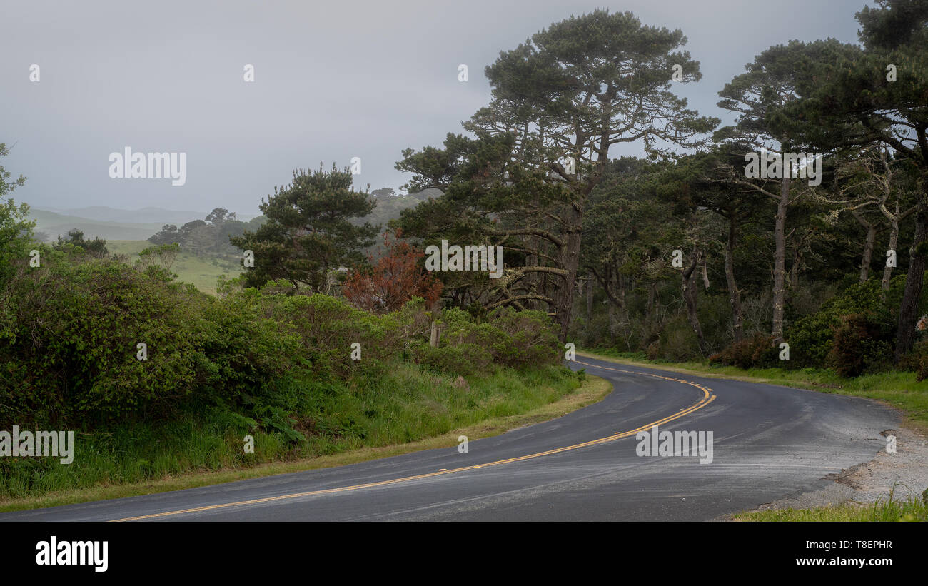 Pierce Point Road in Point Reyes National seashore on a foggy spring ...