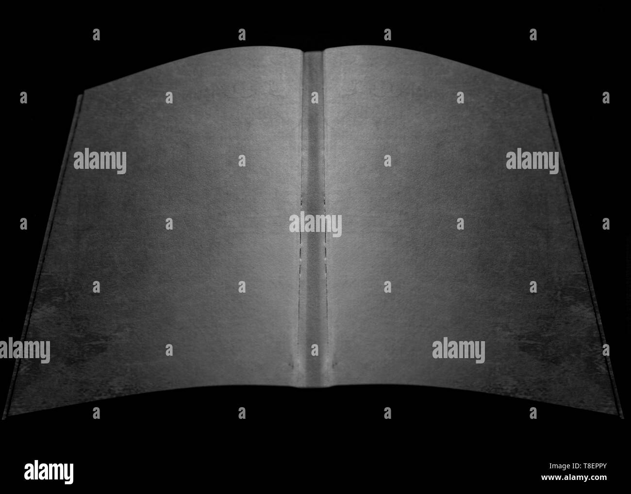 Close up old diary Black and White Stock Photos & Images - Alamy