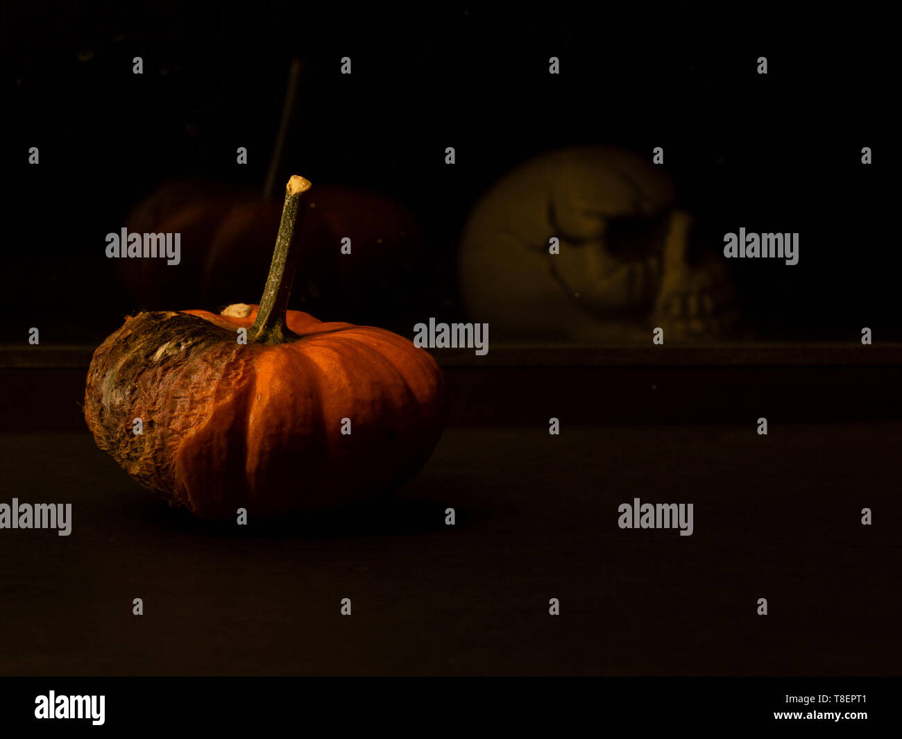 Abstract still life displaying rotting pumpkin reflected on the glass ...