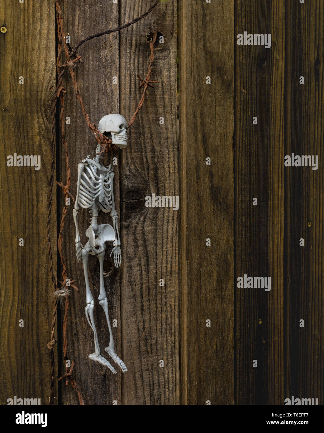 Skeleton fence hi-res stock photography and images - Alamy