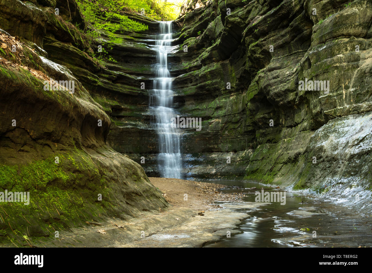 Early spring in French Canyon, Starved Rock state park, Illinois Stock ...