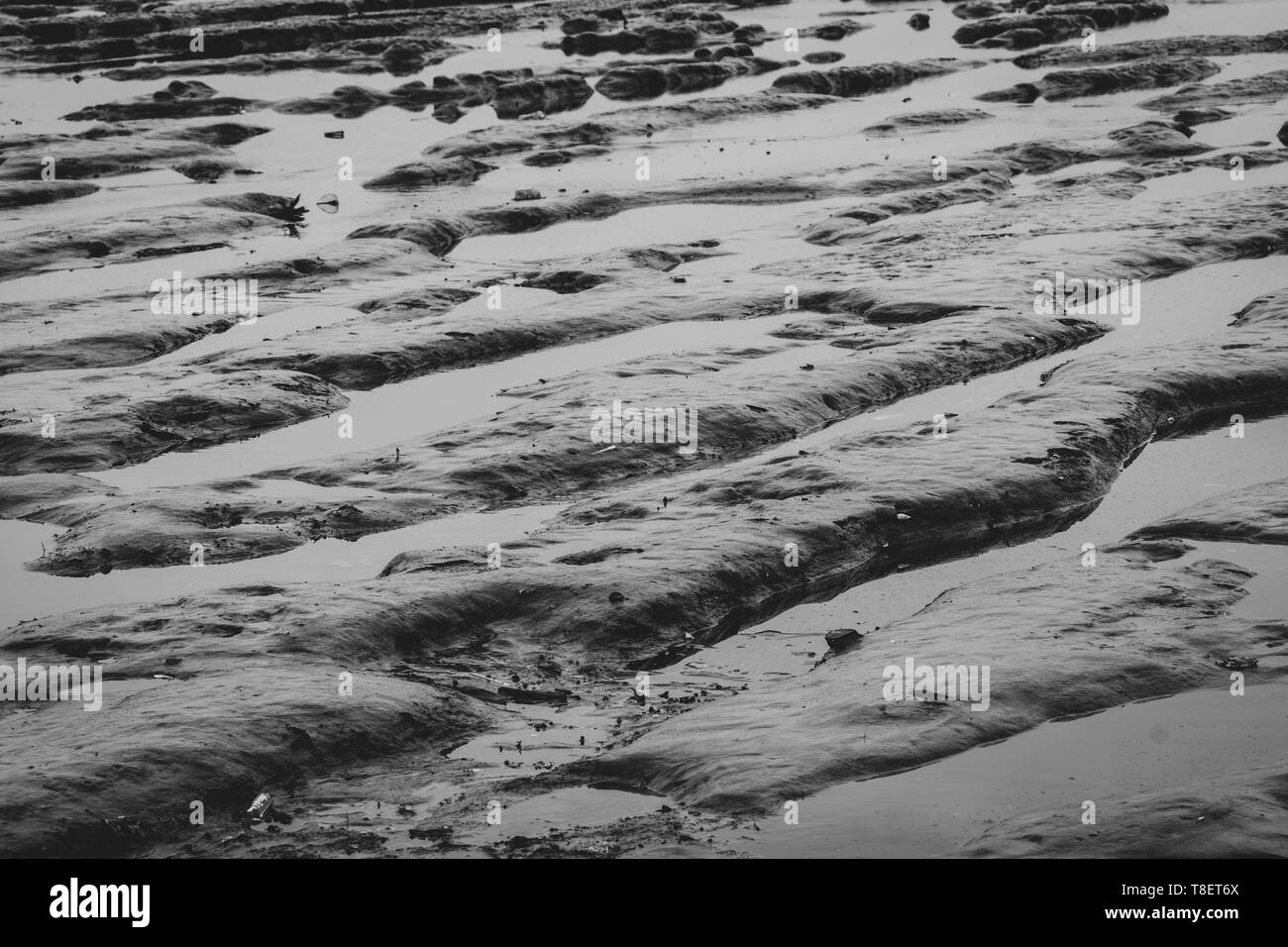 Tidal mudflat. Ripple beach. Low tide. Nature at coastal. Gray ...