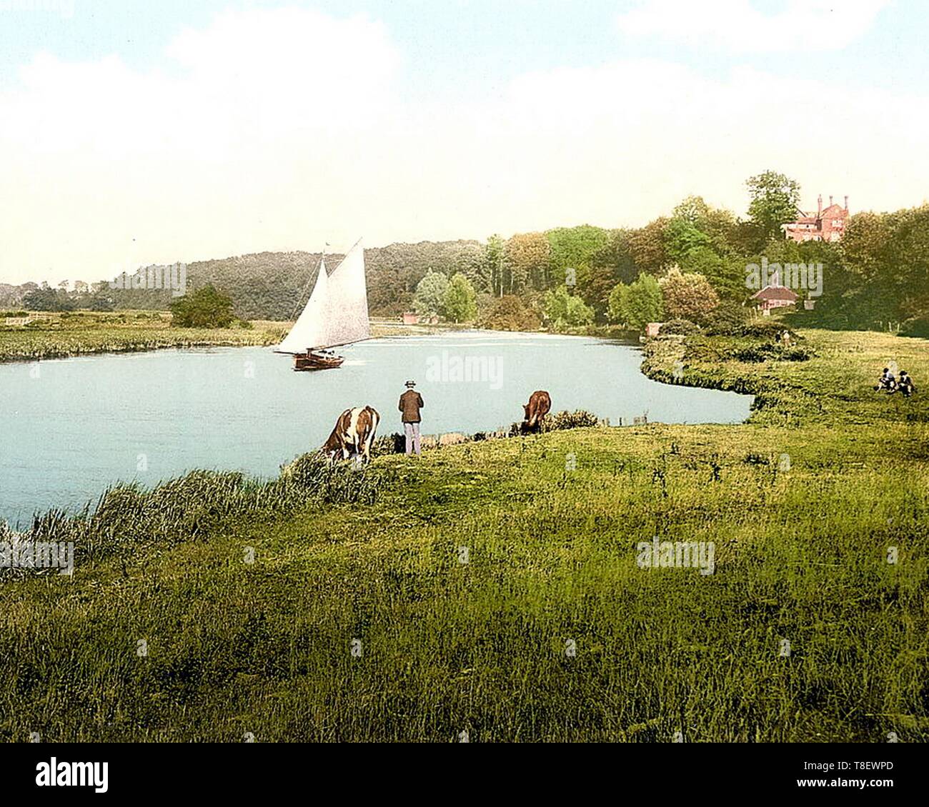 River Yare, Bramerton, Norfolk, England. Between 1890 & 1910 Stock ...